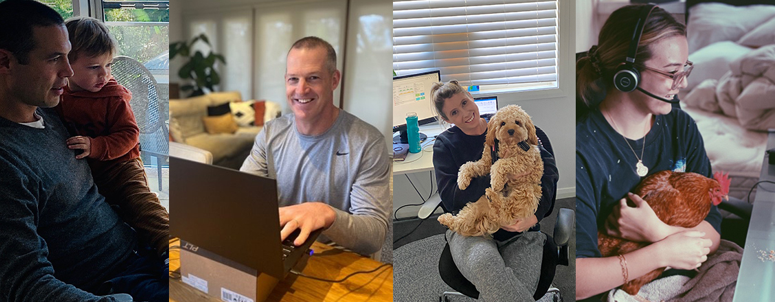 The remote work adjustment: A look at how Telstra’s staff are collaborating